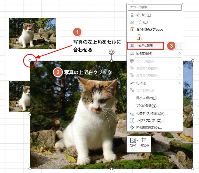 Microsoft Wordで画像の背景を削除する機能 - Nokotech Lab らぼブログ