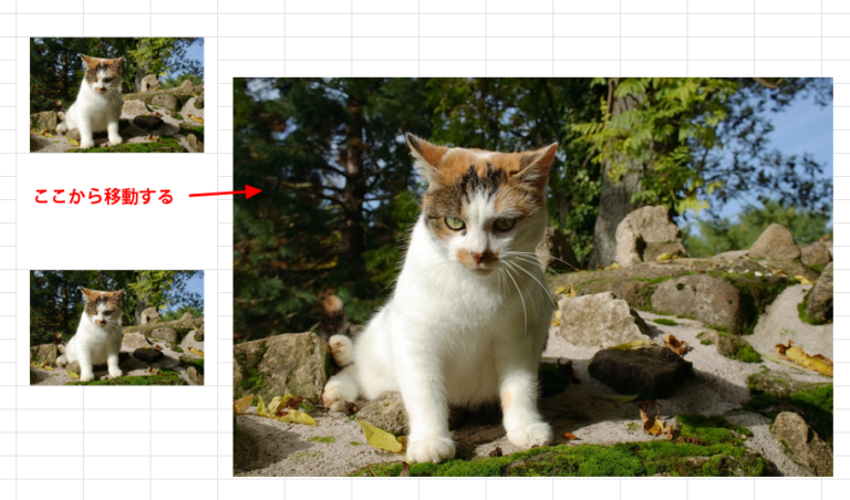 Microsoft Wordで画像の背景を削除する機能 - Nokotech Lab らぼブログ